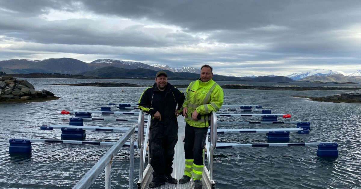 Vikane Småbåtlag – utskifting av eksisterende… | Marina Solutions