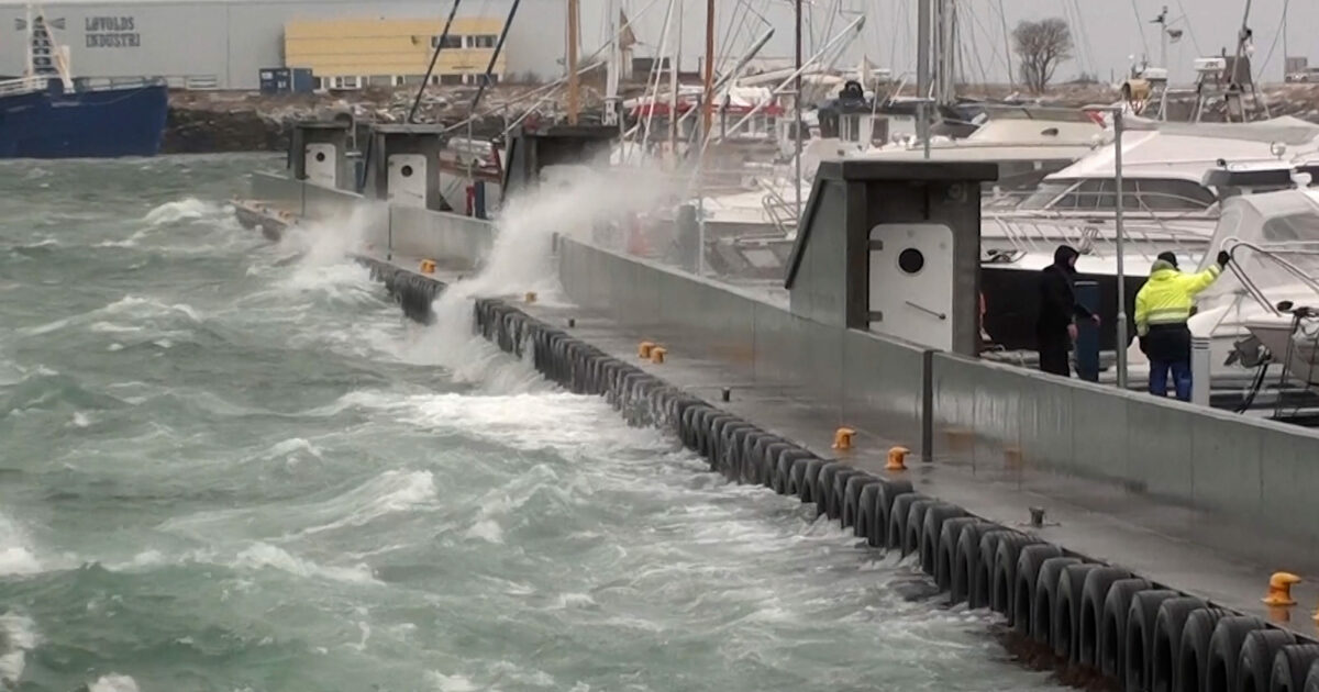 Bølgeberegning | Marina Solutions